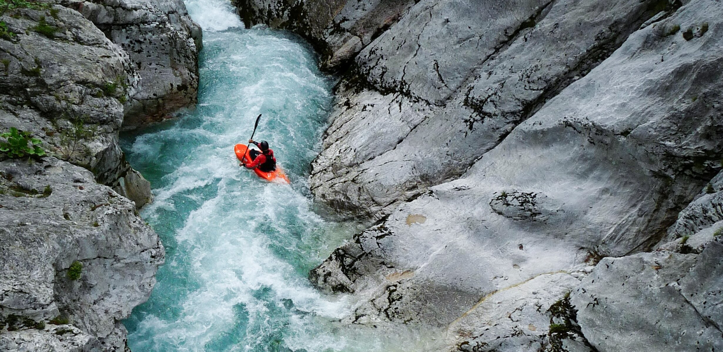 L-arginine : bienfaits, besoins et danger de cet acide aminé | BIOGENA ...