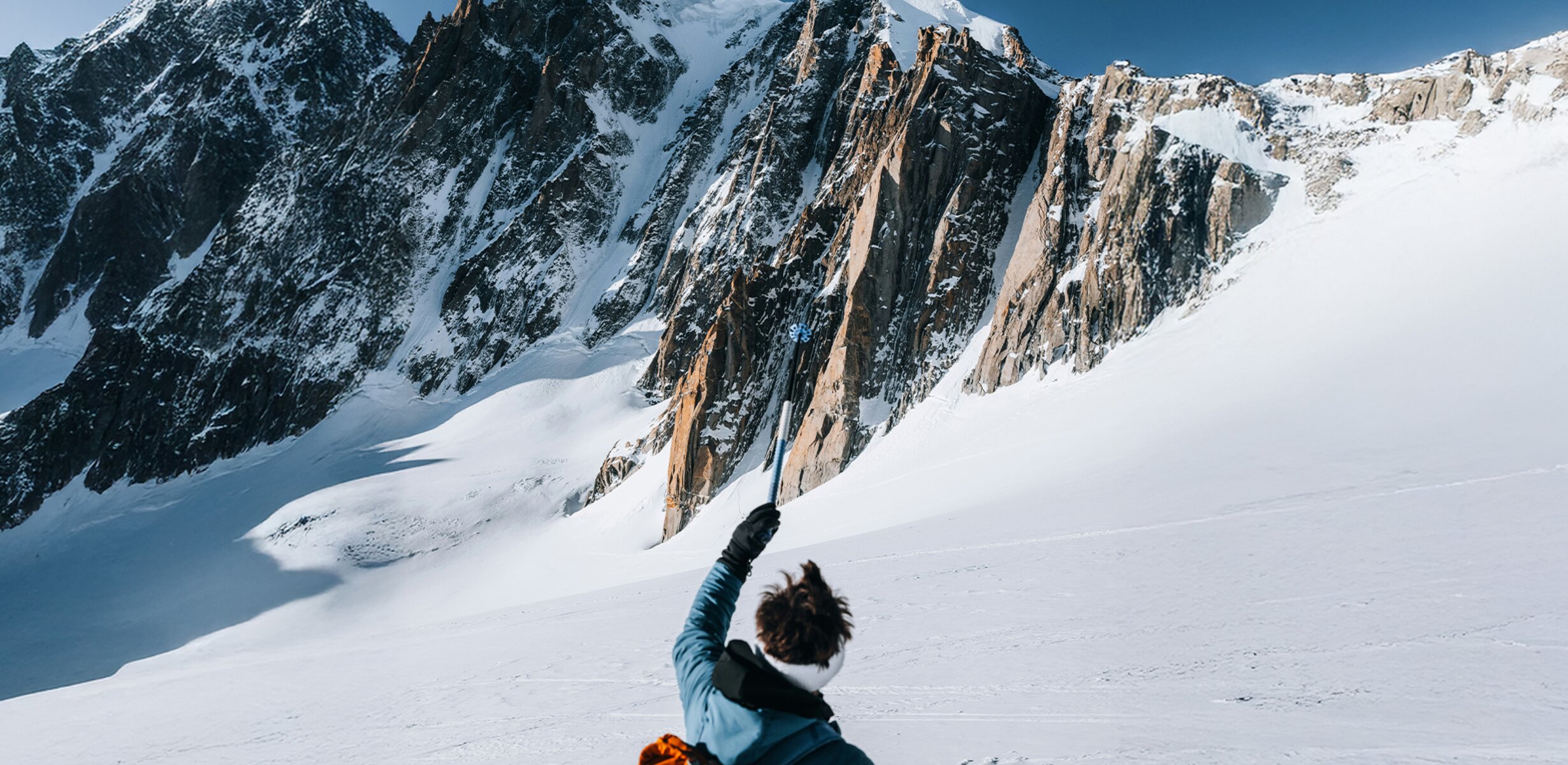 Berberine: benefits, dosage and side effects | BIOGENA International