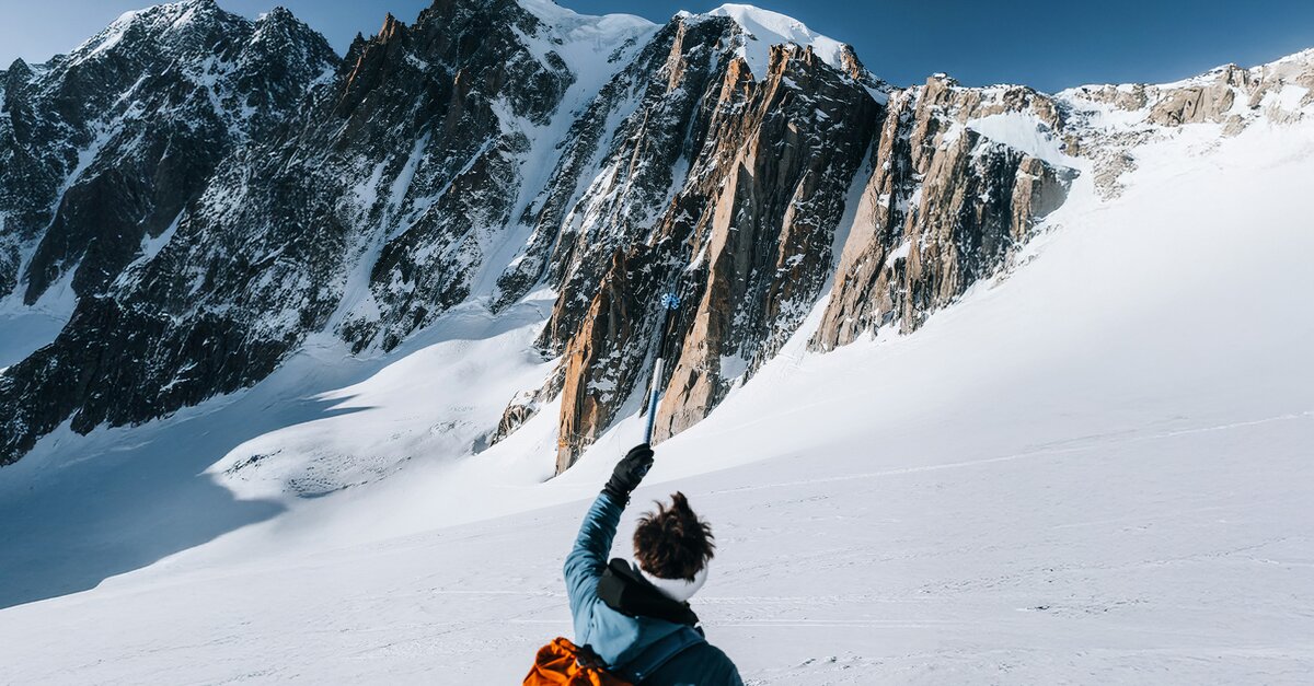 Berberine: benefits, dosage and side effects | BIOGENA UK