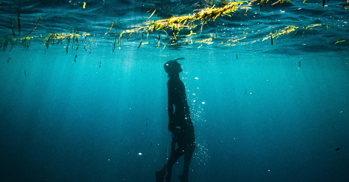 Bestes Omega-3-Präparat: Vergleich & Testsieger | BIOGENA Deutschland